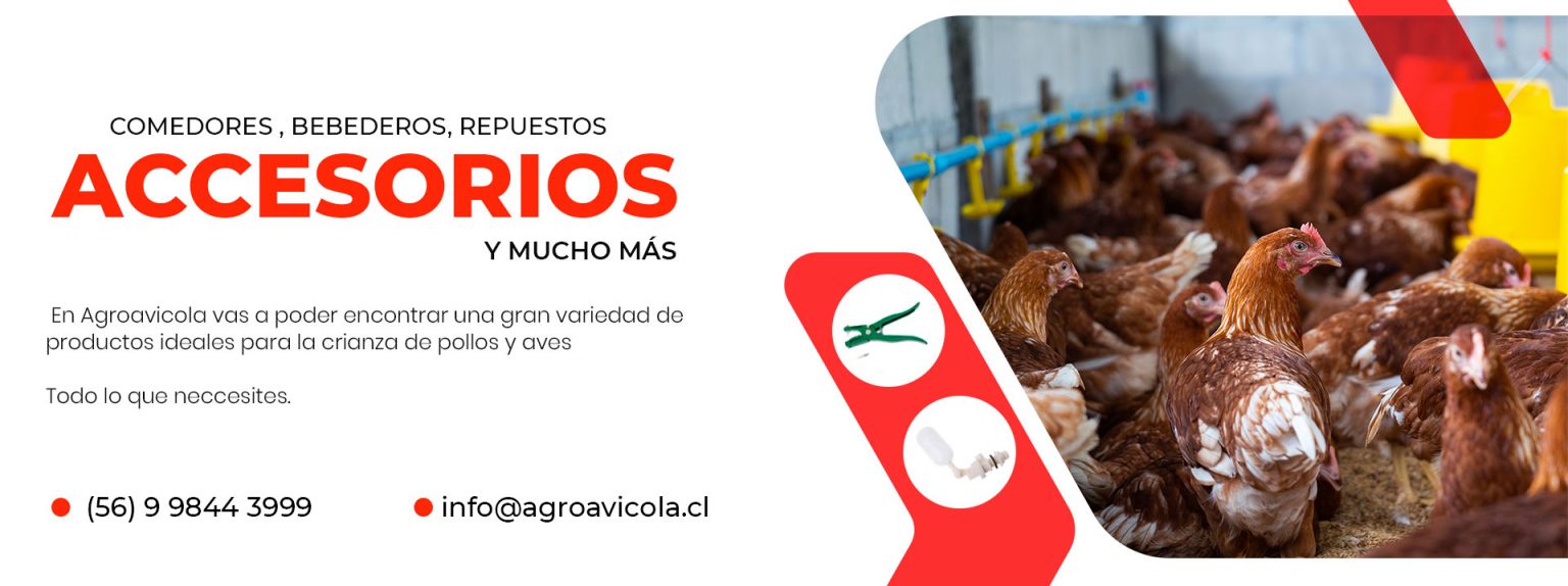 Agroavicola ️ Insumos Avicolas en Chile ️