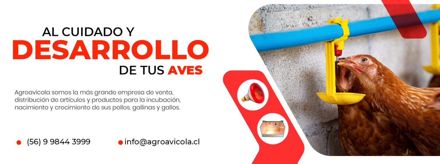 Agroavicola ️ Insumos Avicolas en Chile ️