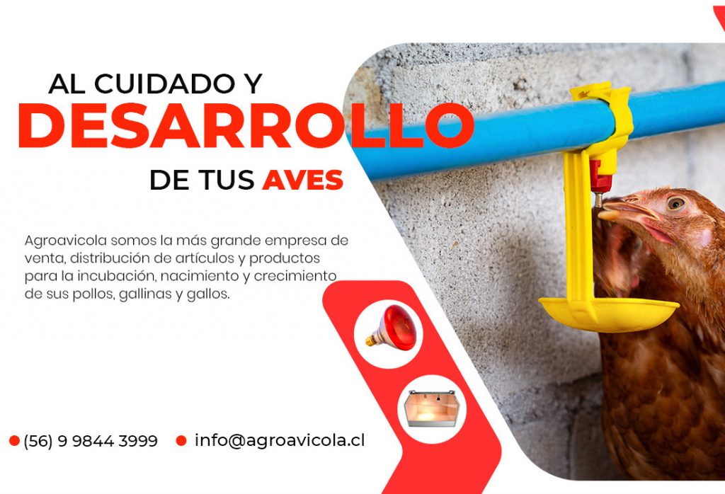 Agroavicola Insumos Avicolas en Chile