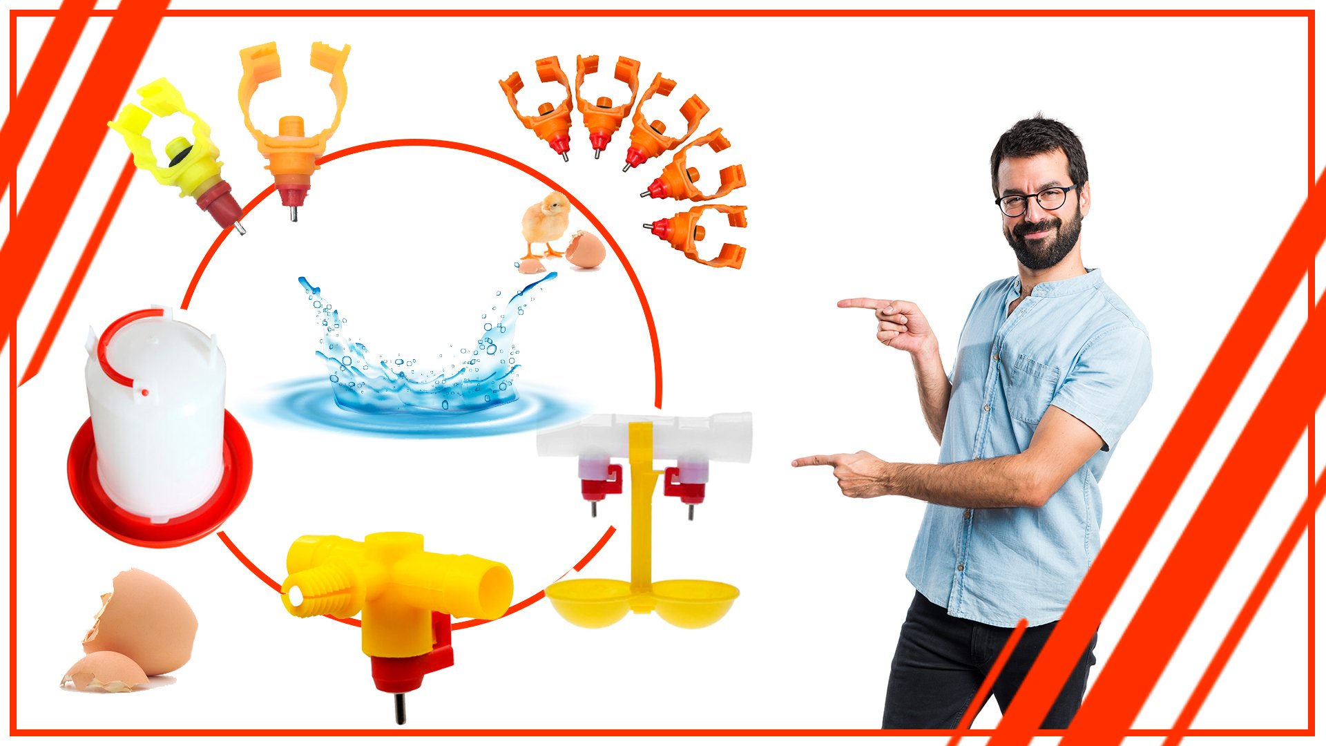 Cómo asegurar que los pollos tengan acceso constante al agua ️ ️