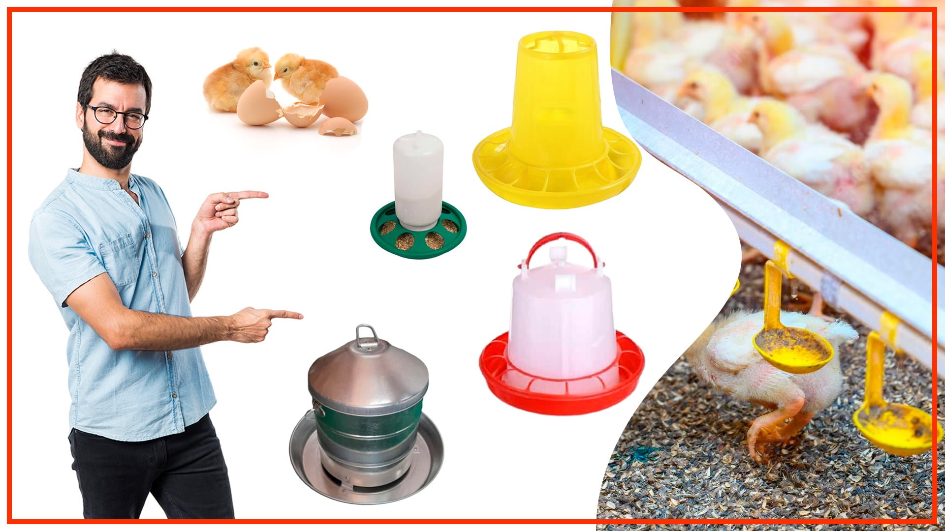 Cómo diseñar un comederos para gallinas atractivo y funcional ️ ️