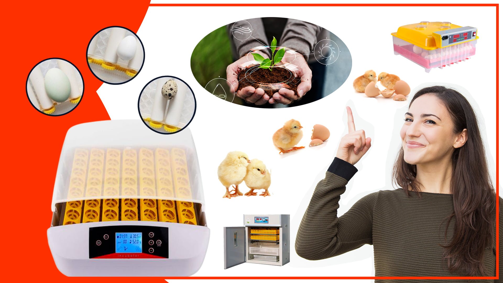 Los accesorios para incubar huevos y su relación con la agricultura ️ ️