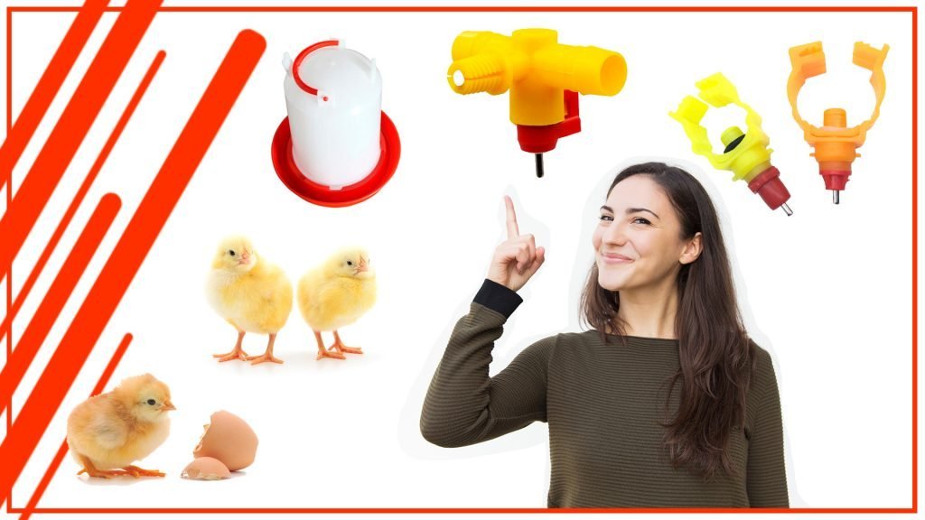 Los mejores materiales para construir un bebedero para gallinas ️ ️ Los mejores materiales para construir un bebedero para gallinas ️ ️