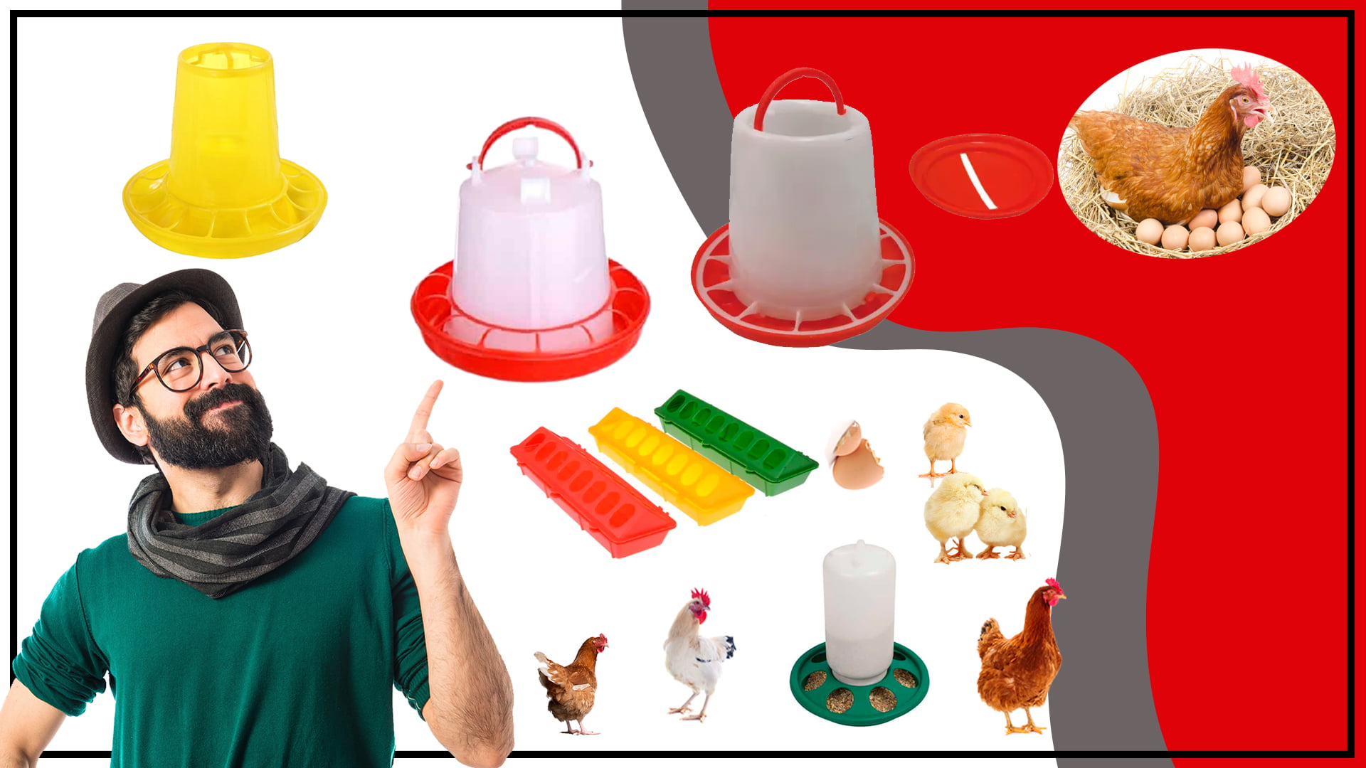 Comederos de Gallina: Todo lo que Necesitas Saber ️ ️