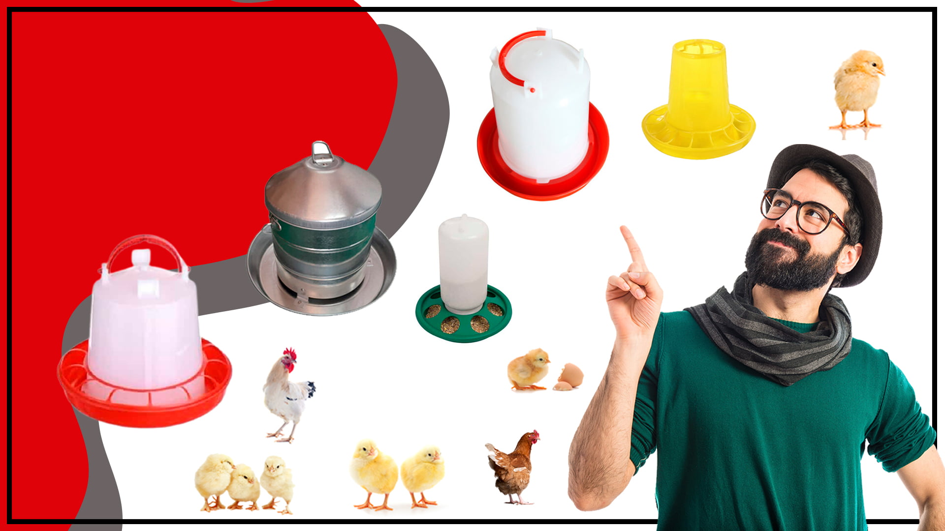 Cómo elegir el mejor comedero para tu gallinero ️ ️